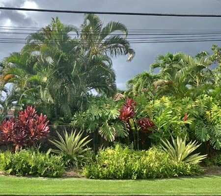 Landscaping Kailua, HI | Tree Trimming, Removal | Sprinklers